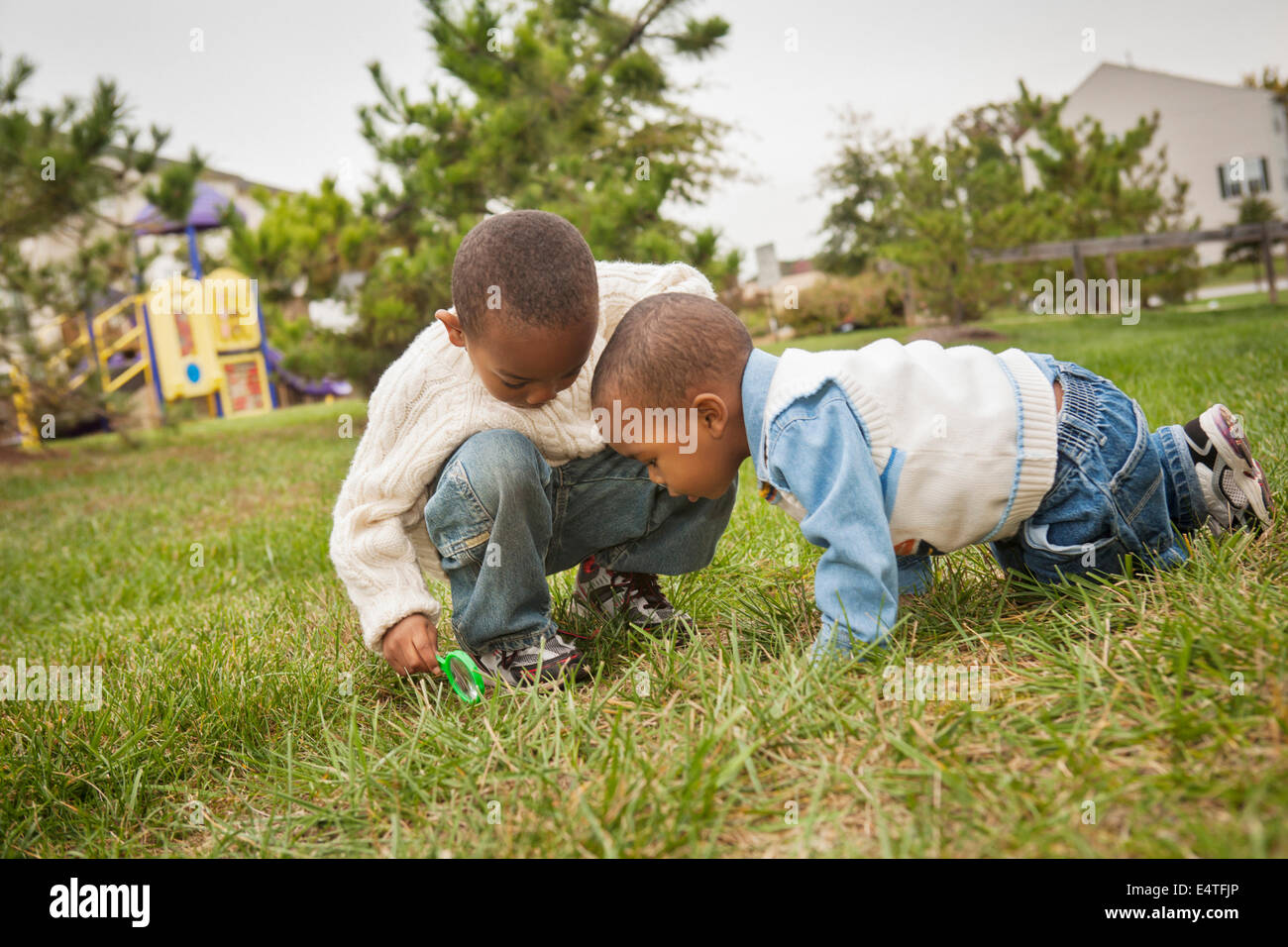 Brothers Observing Grass under Magnifying Glass in Park, Maryland, USA ...