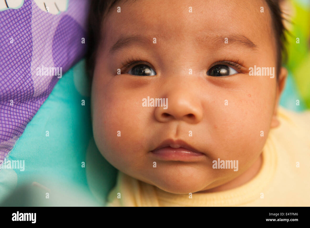 Close-up portrait of two month old Asian baby lying on back, studio ...
