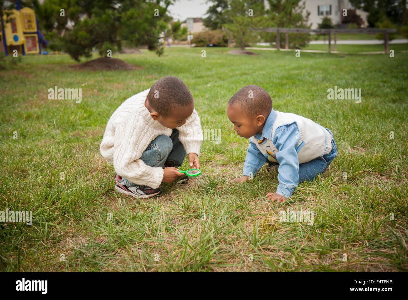 Brothers Observing Grass under Magnifying Glass in Park, Maryland, USA ...