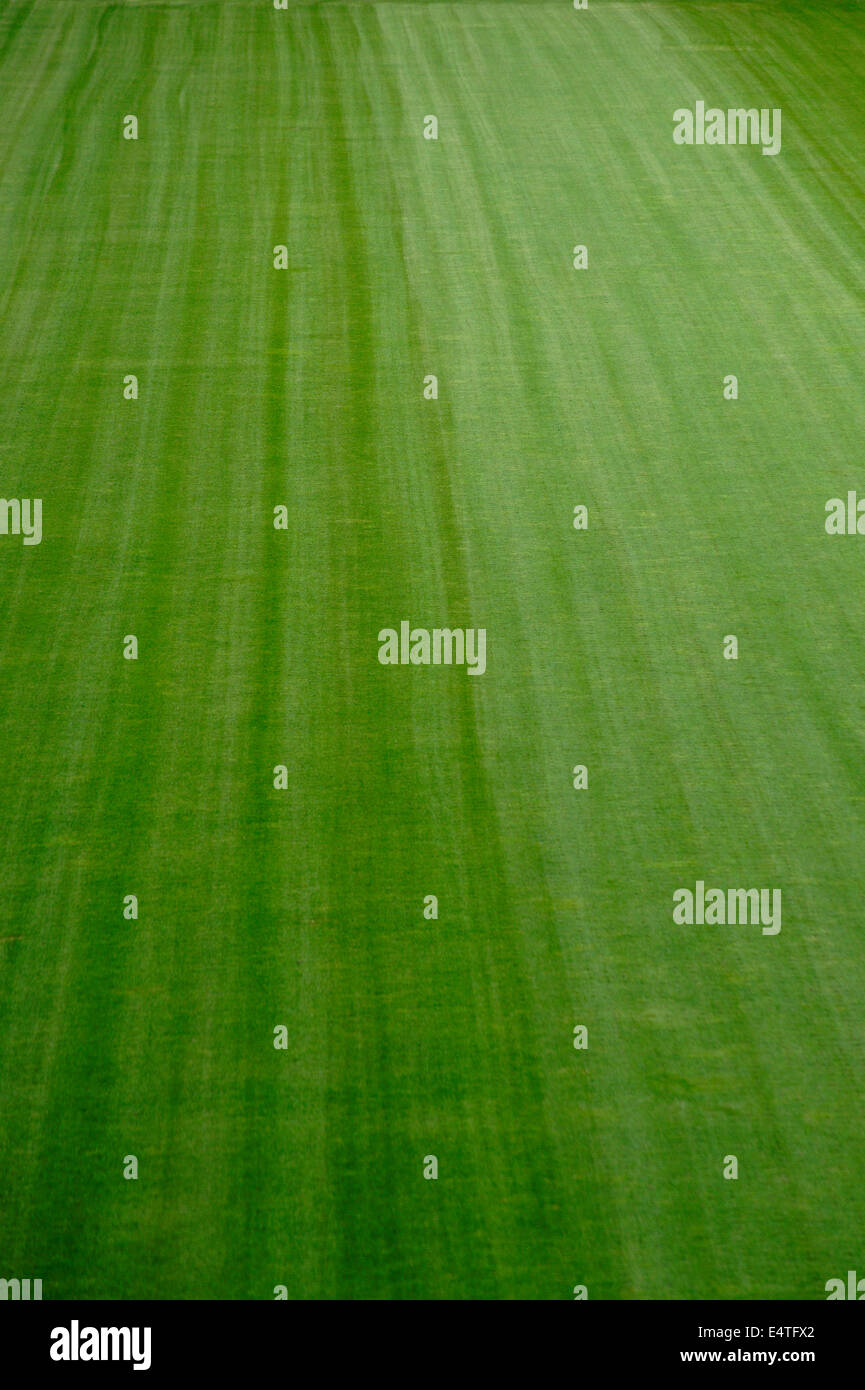 Mowed lawn aerial hi-res stock photography and images - Alamy