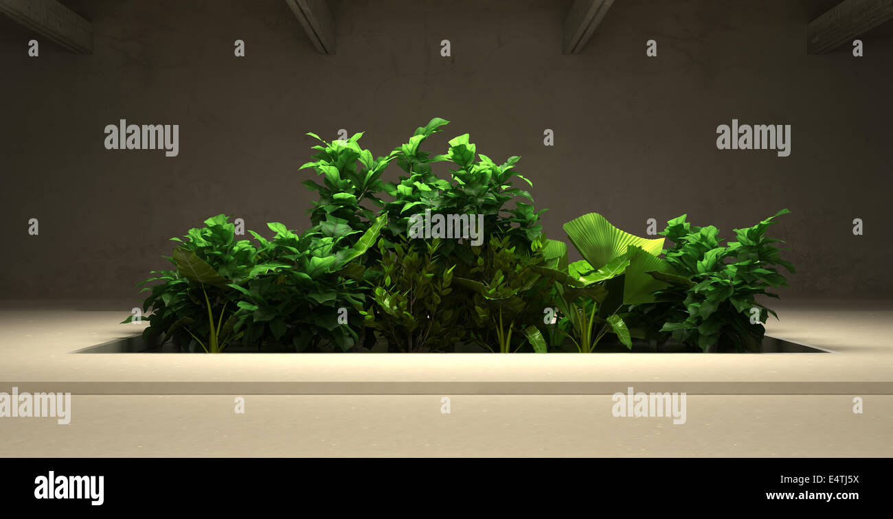 interior, concrete column, plants Stock Photo - Alamy