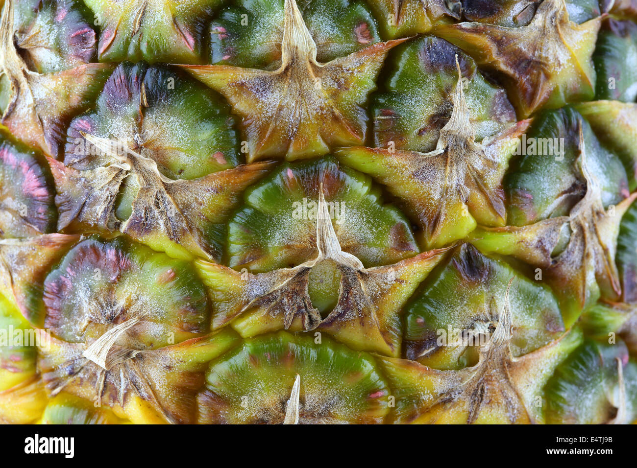 Pineapple texture hi-res stock photography and images - Alamy