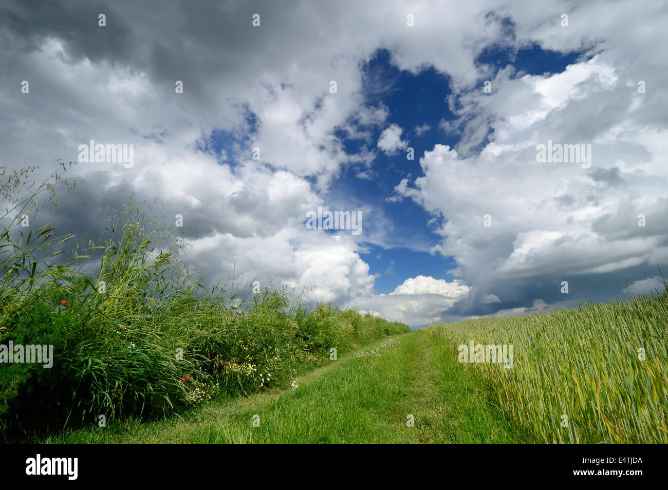 Landscape. Country road and scenic clouds. Spring day in countryside in ...