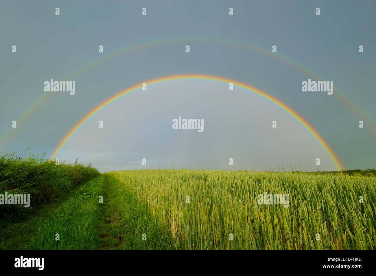Full rainbow hi-res stock photography and images - Alamy