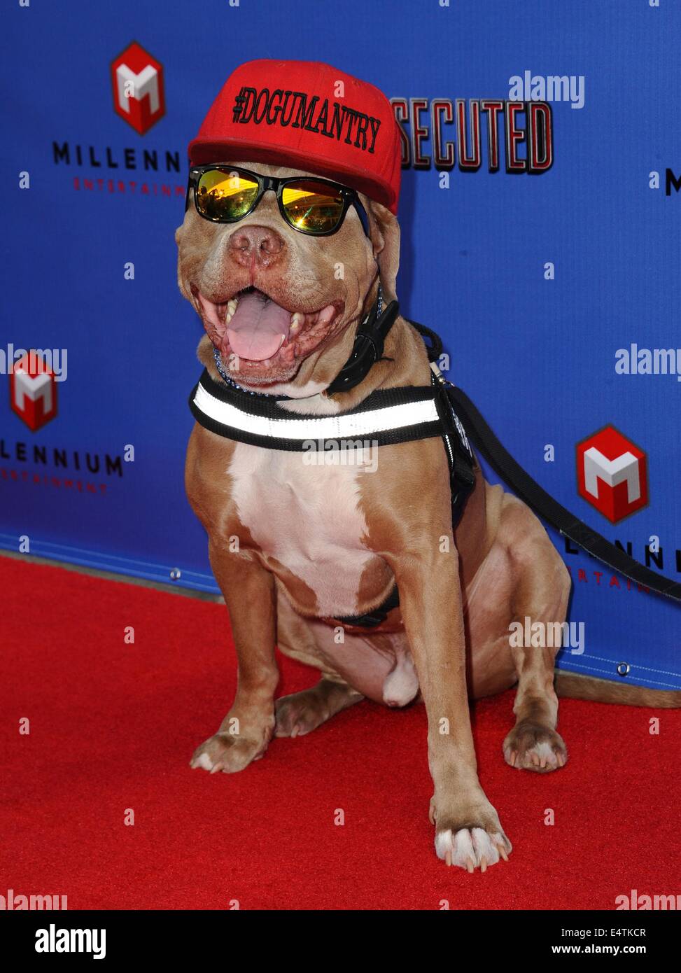 Los Angeles, CA, USA. 16th July, 2014. Sunny Ray at arrivals for ...