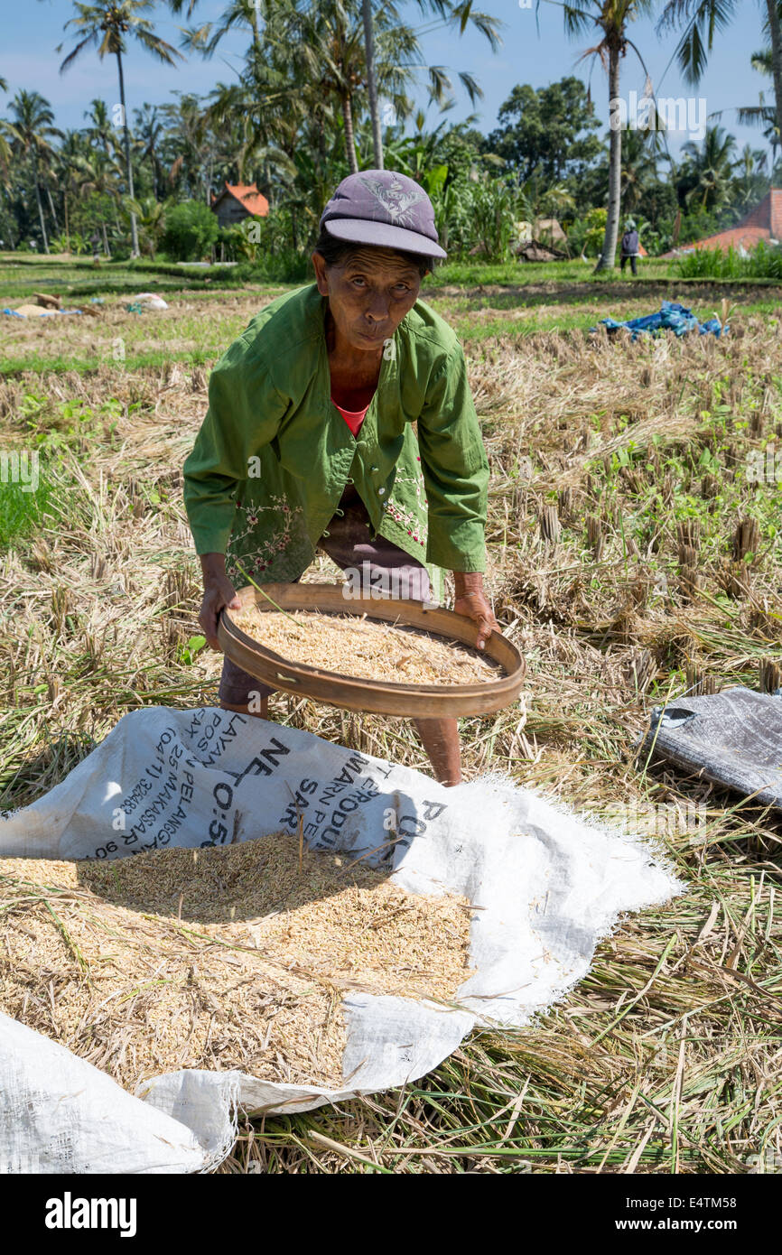 Bali cap hi-res stock photography and images - Alamy