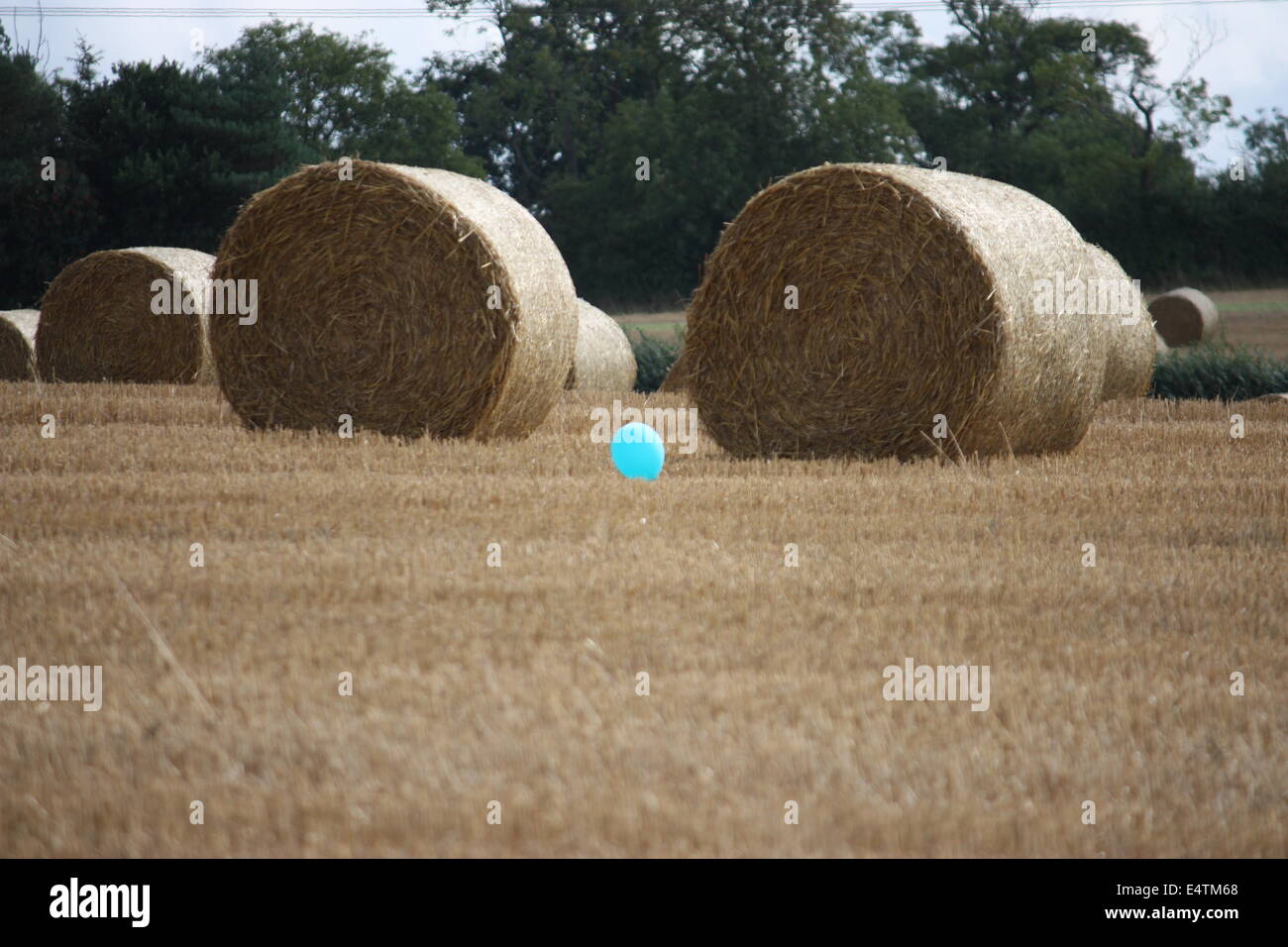 large round bales in rural farmland Stock Photo - Alamy