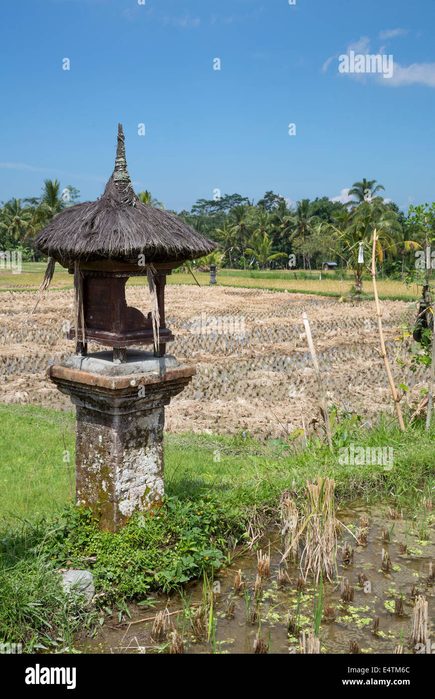 Indonesian goddess hi-res stock photography and images - Alamy