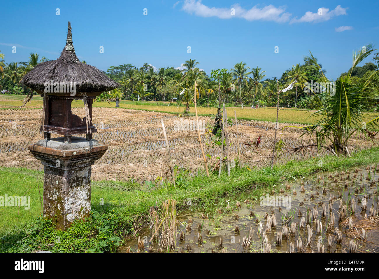 Bali, Indonesia. Shrine to the Rice Goddess Sri in a Rural Rice Field ...