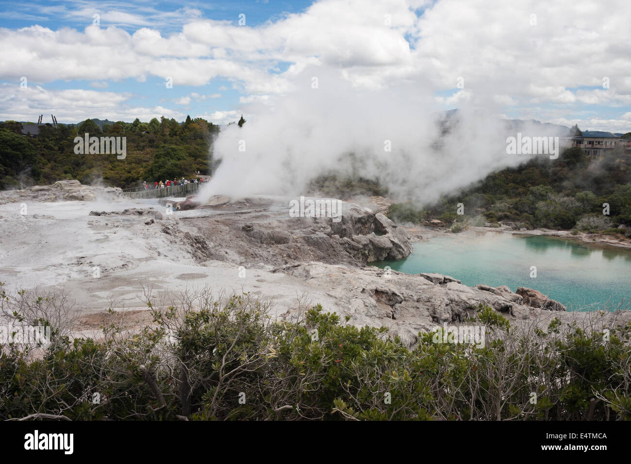 Taupo volcanic zone geyser hi-res stock photography and images - Alamy
