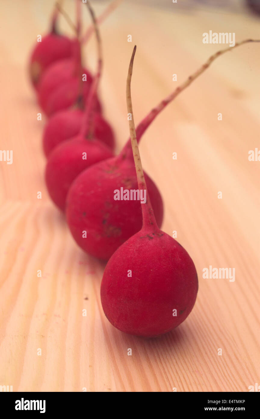 Garden raddish hi-res stock photography and images - Alamy