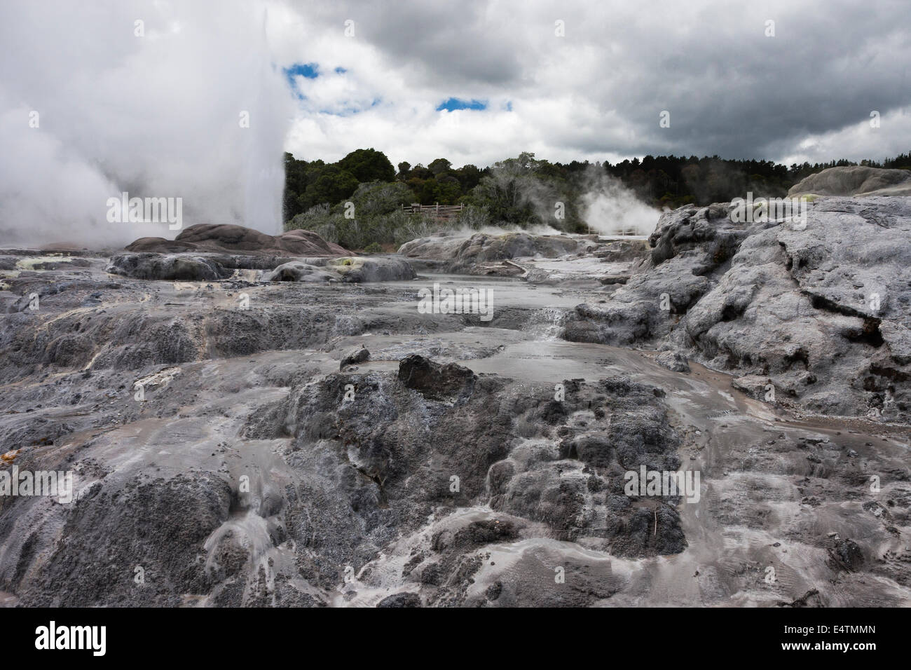 Taupo volcanic zone geyser hi-res stock photography and images - Alamy