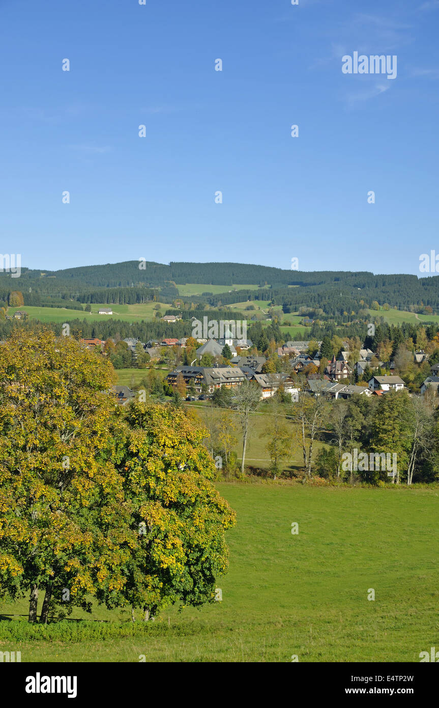 Europa hinterzarten hi-res stock photography and images - Alamy
