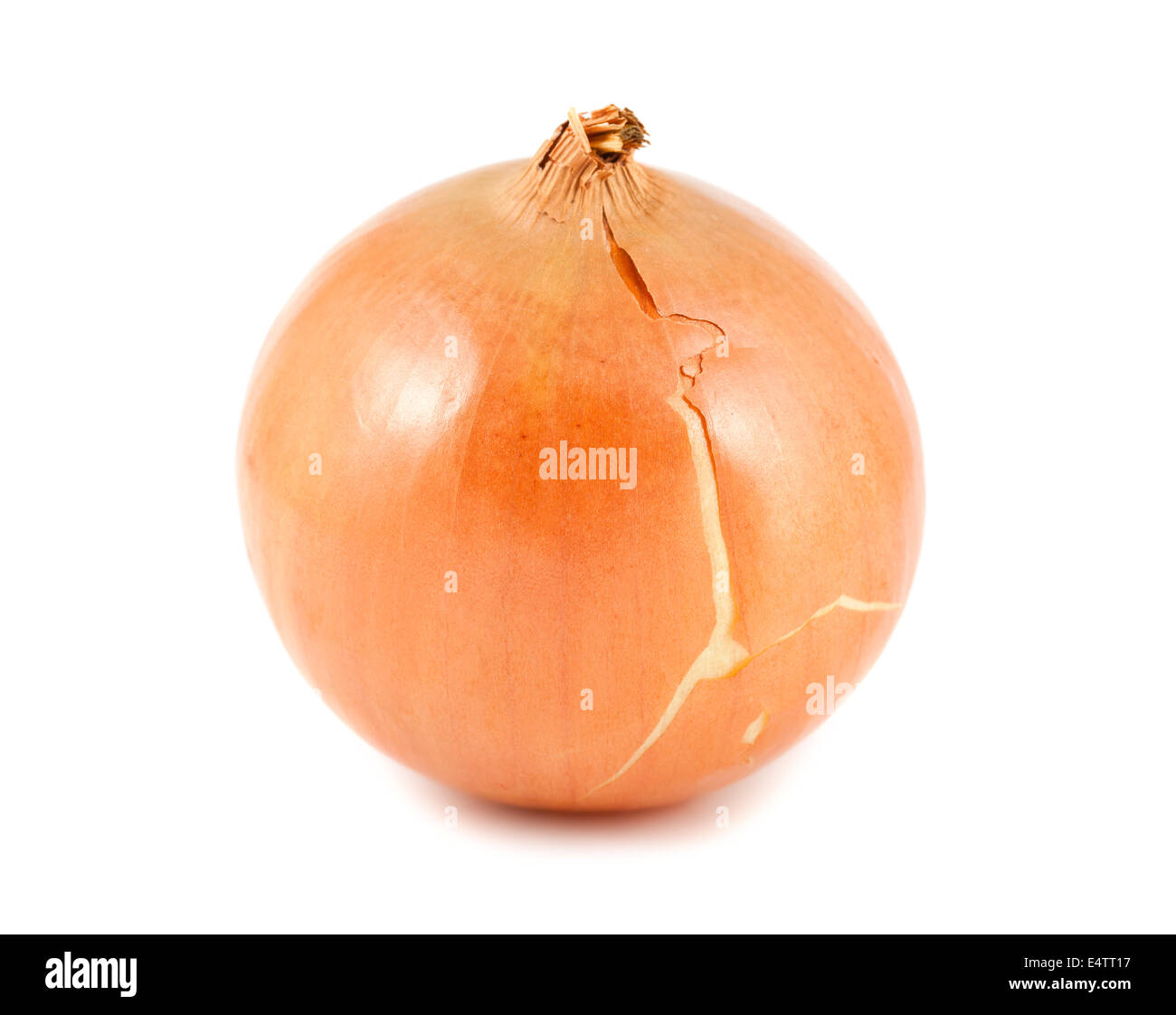 Onion bulb hi-res stock photography and images - Alamy