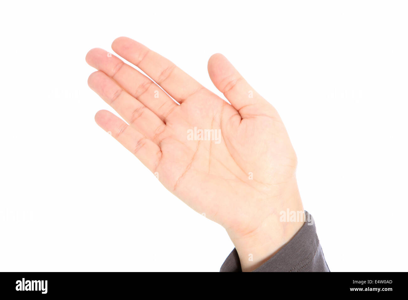 Palmistry Cut Out Stock Images & Pictures - Alamy
