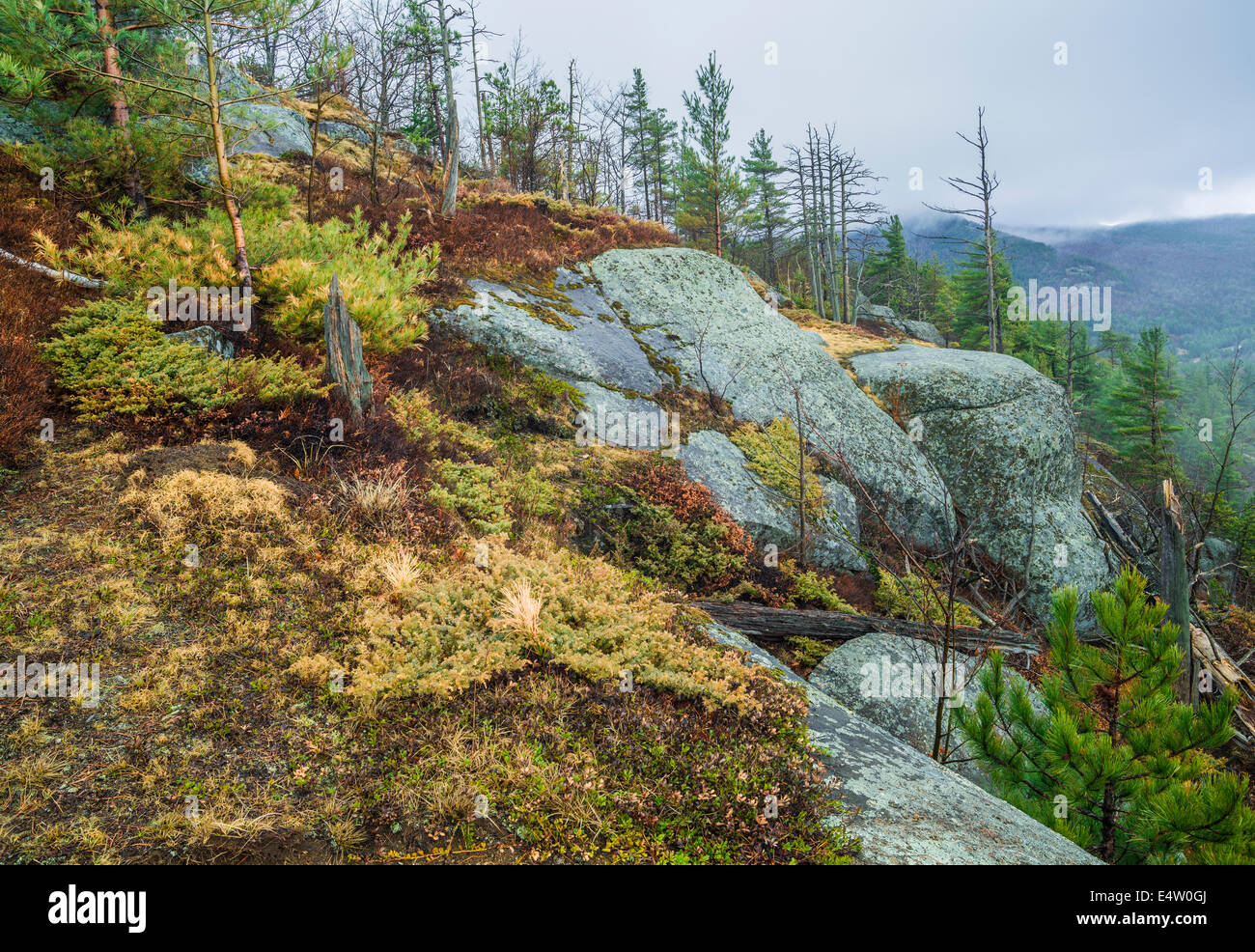 Keene valley hi-res stock photography and images - Alamy