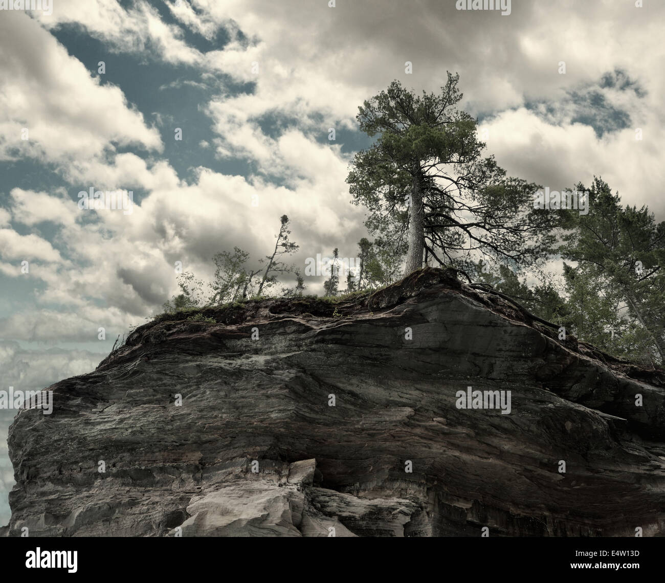 Trees On A Rocky Cliff Stock Photo - Alamy