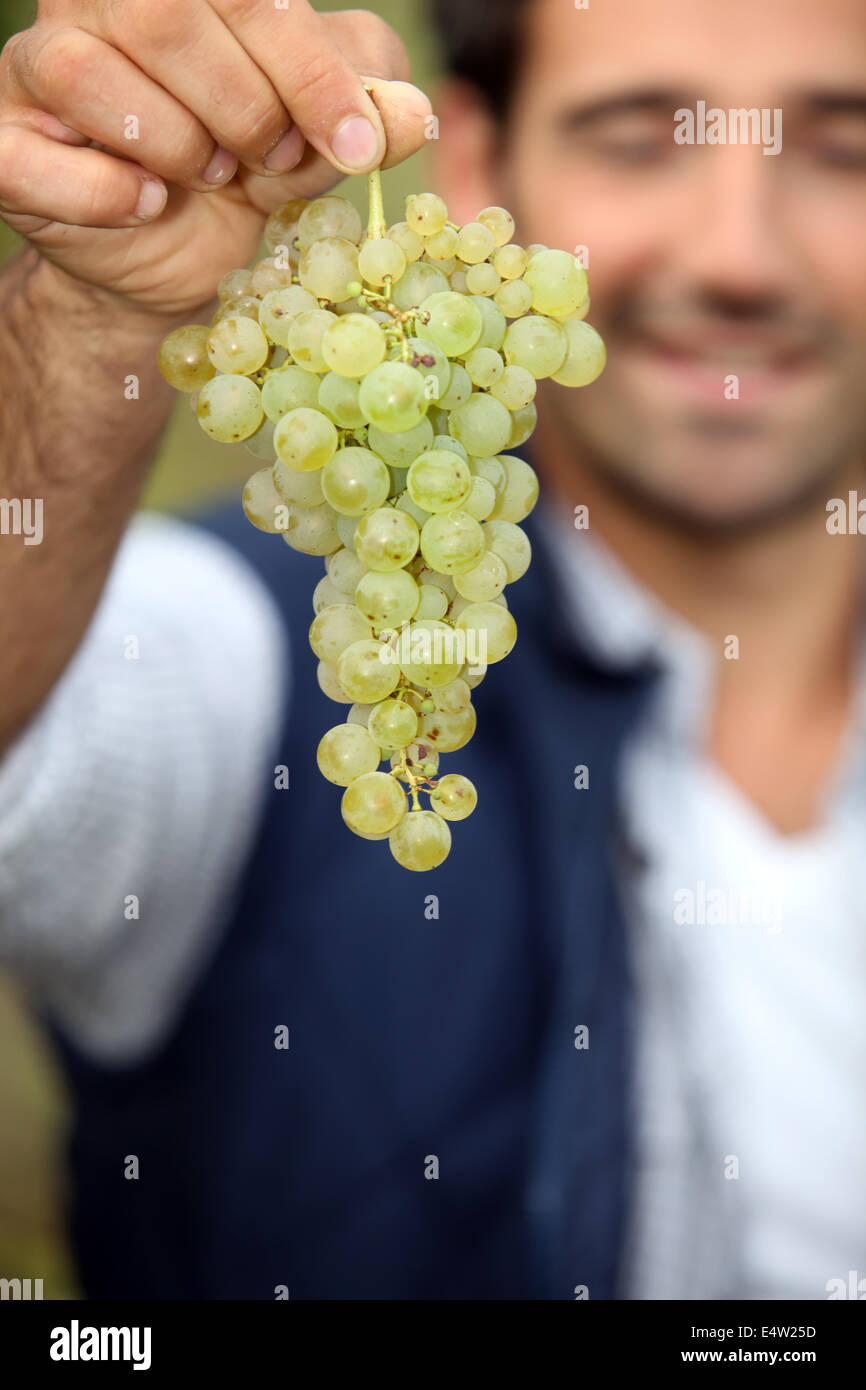 Man with bunch of grapes Stock Photo - Alamy