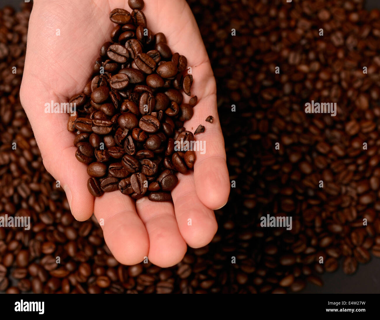 Hand holding coffee beans Stock Photo - Alamy
