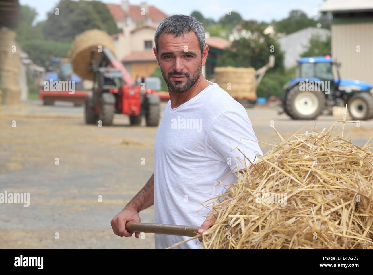 a farmer taking straw with a fork Stock Photo - Alamy