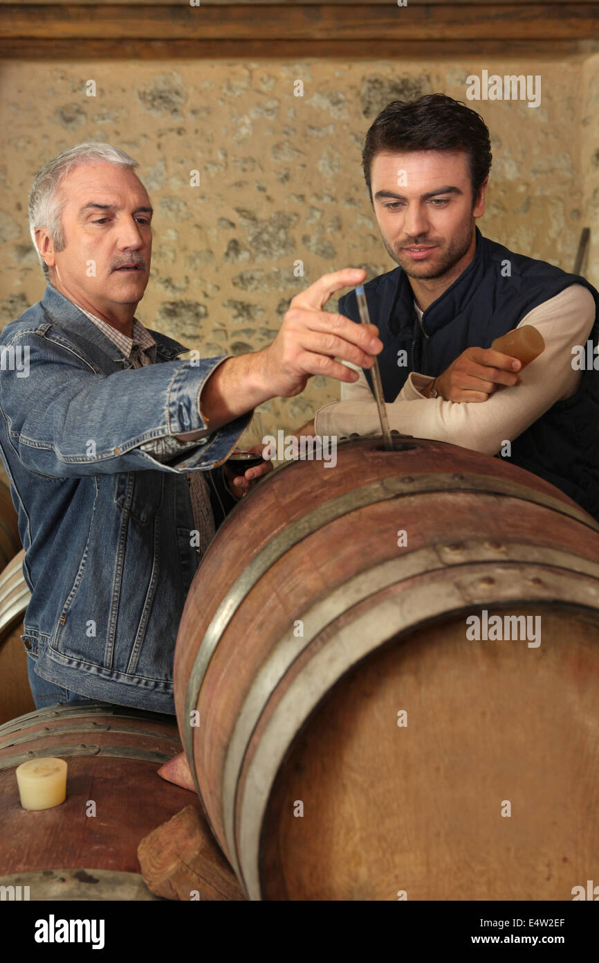 Men checking quality of wine Stock Photo - Alamy