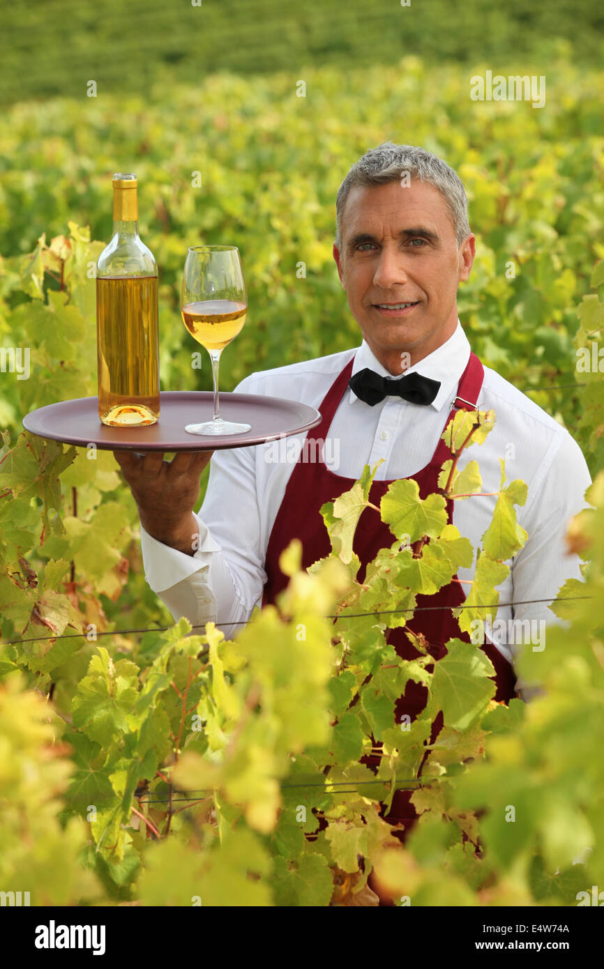 Person serving wine hi-res stock photography and images - Alamy