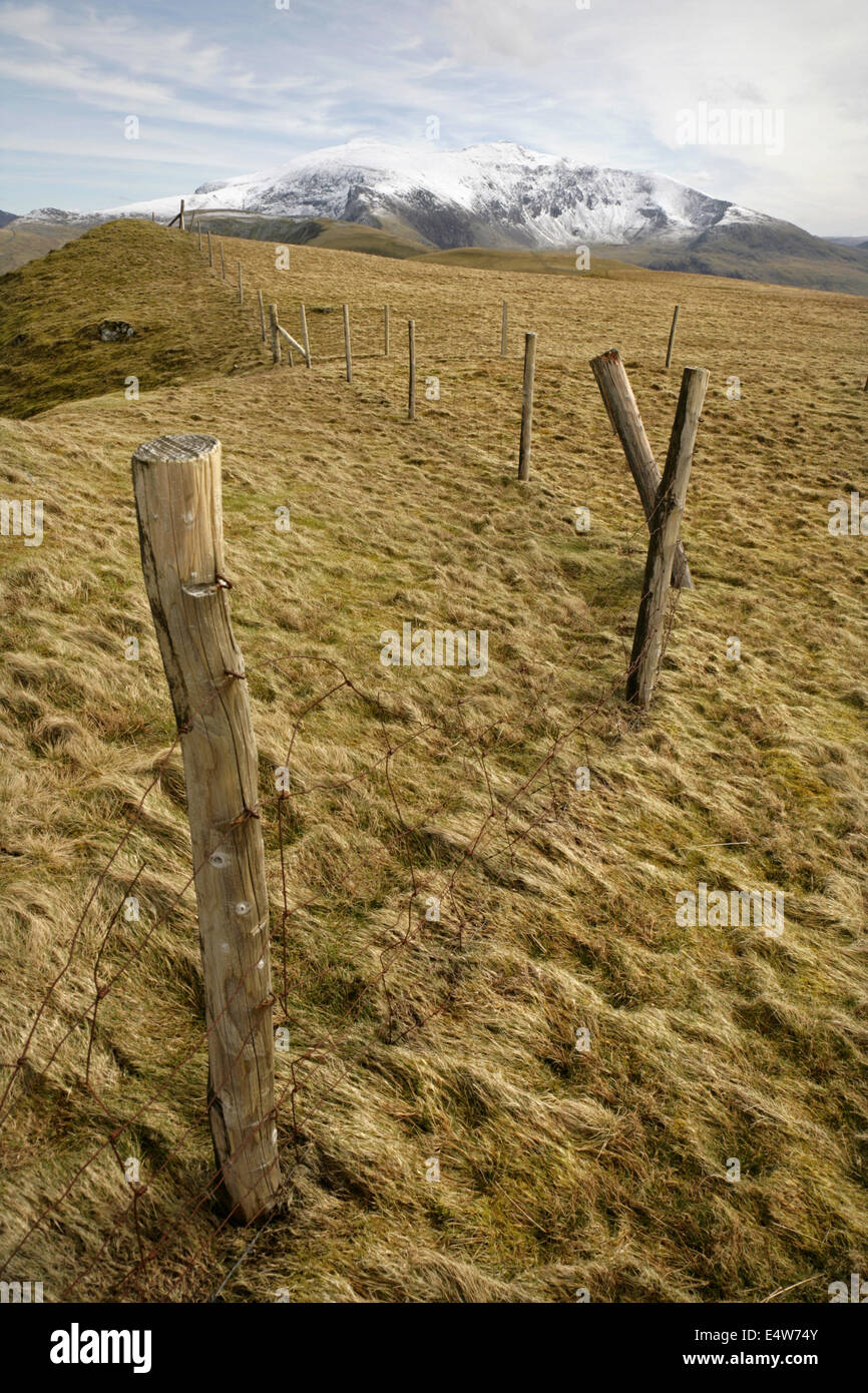 From the fron hi-res stock photography and images - Alamy