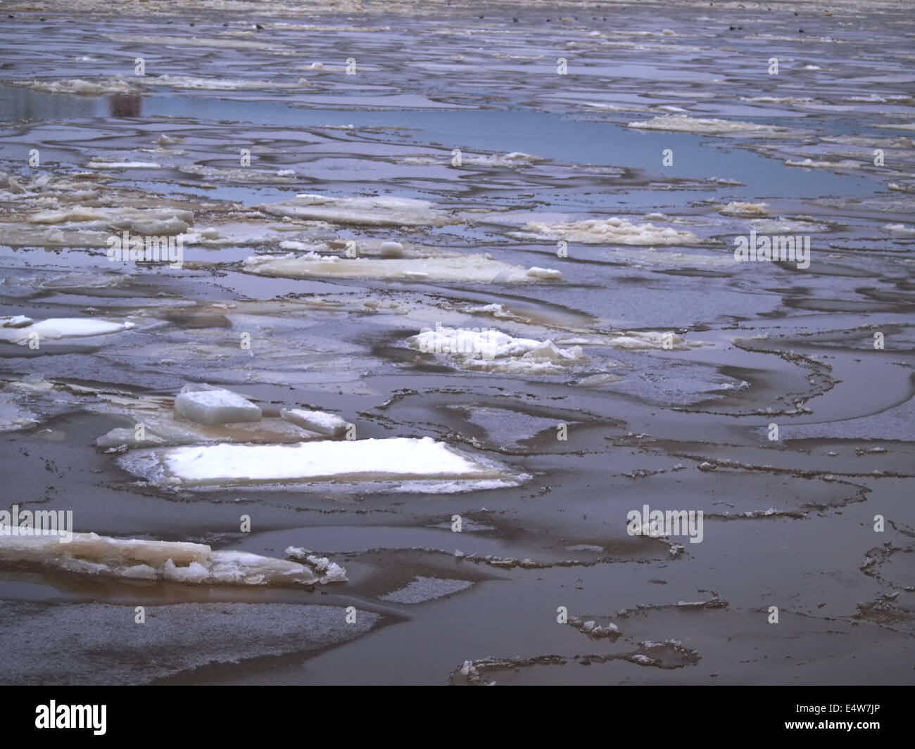 Shattered ice, at spring Stock Photo - Alamy