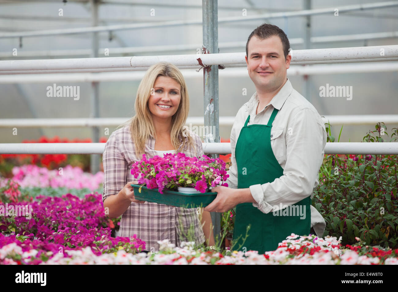 Woman florist holding box flowers hi-res stock photography and images ...