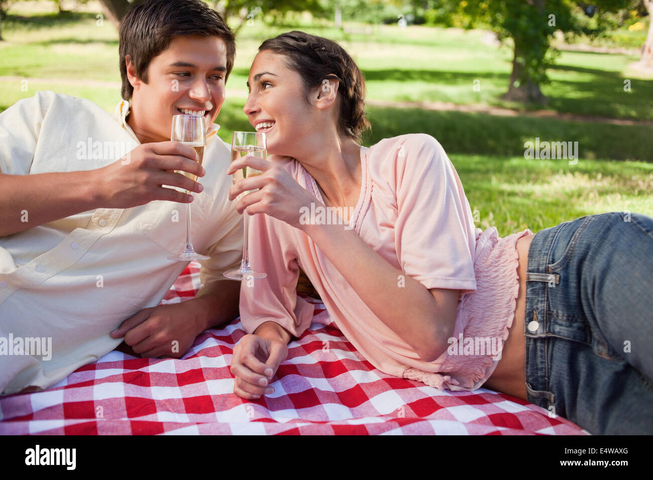Two friends having a toast during a picnic Stock Photo - Alamy