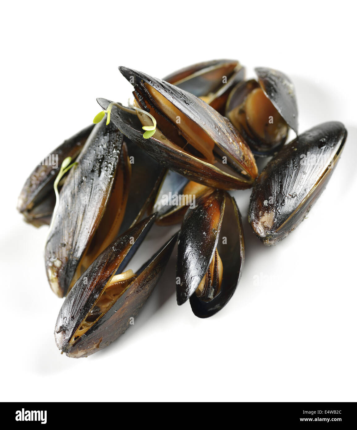 Opened mussels hi-res stock photography and images - Alamy