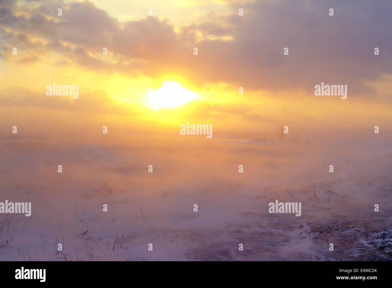 snowstorm in the steppe Stock Photo - Alamy
