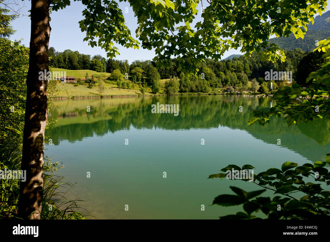 Wossner see hi-res stock photography and images - Alamy