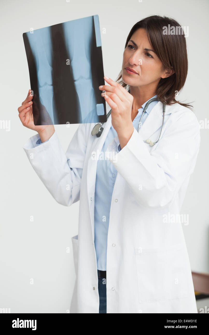 Doctor holding up x-ray and examining Stock Photo - Alamy