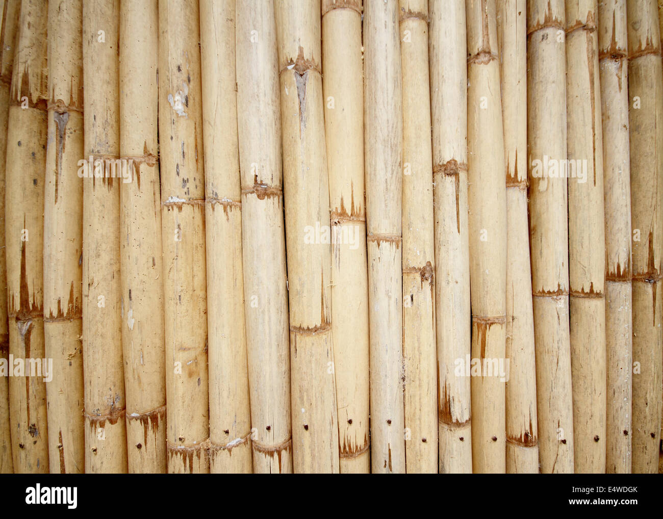 Bamboo wall in Thailand architecture Stock Photo - Alamy
