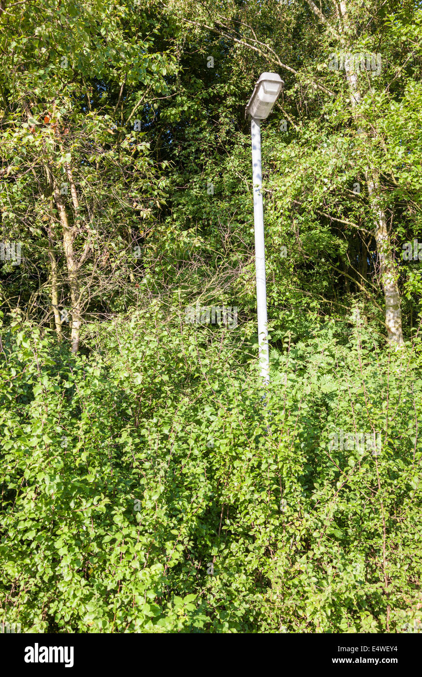 Streetlight streetlamp street light lamp hi-res stock photography and ...