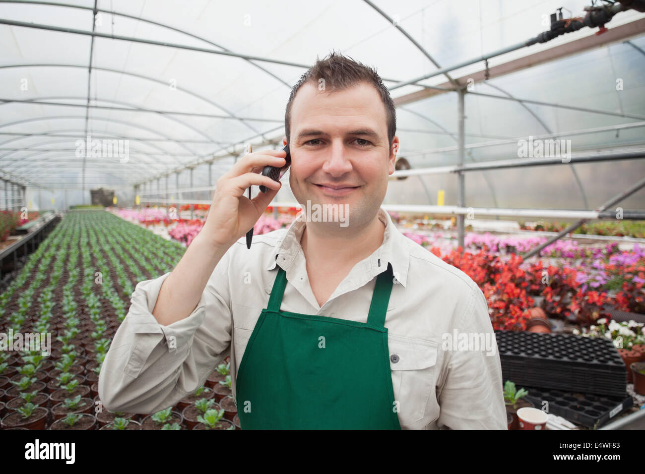 Employee on the phone in greenhouse Stock Photo - Alamy