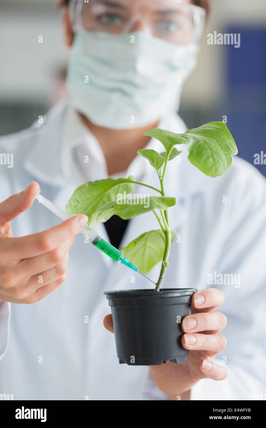 Plant tests hi-res stock photography and images - Alamy