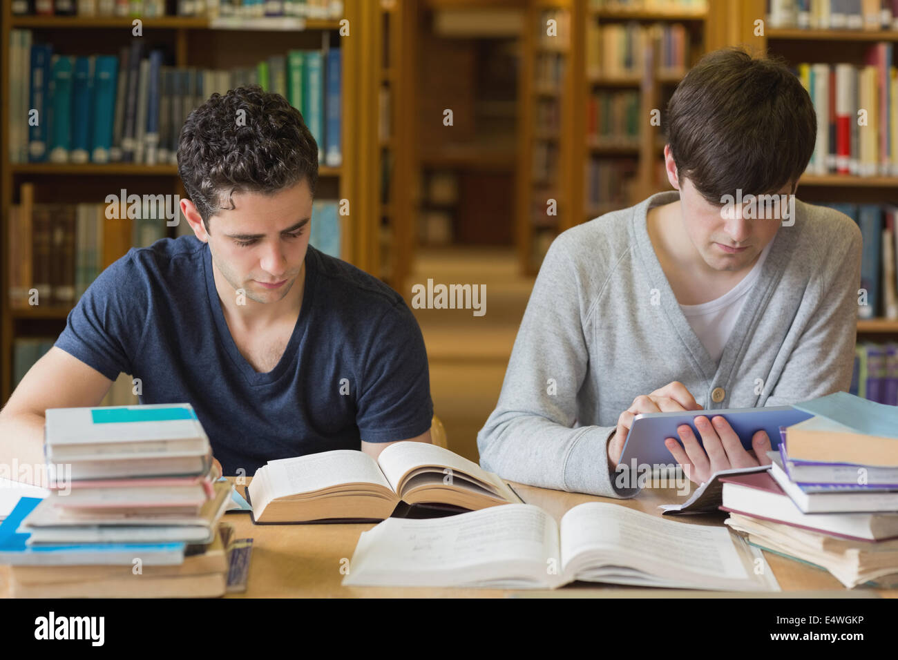 Men studying in library Stock Photo - Alamy