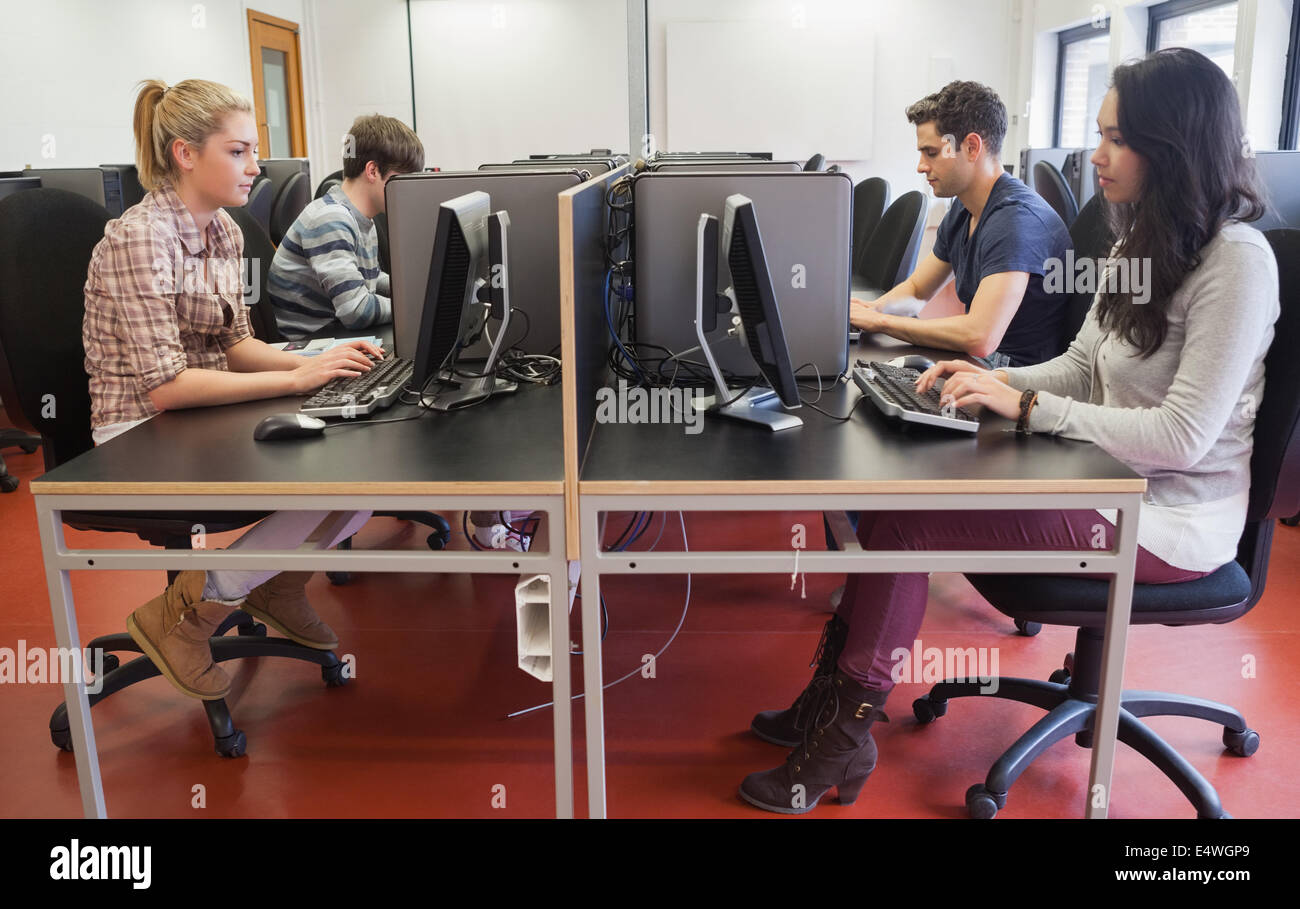 People typing in computer class Stock Photo - Alamy