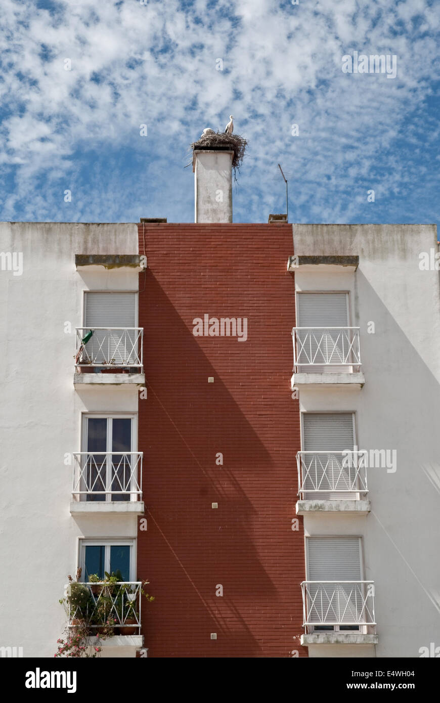 house with storks on the roof Stock Photo - Alamy