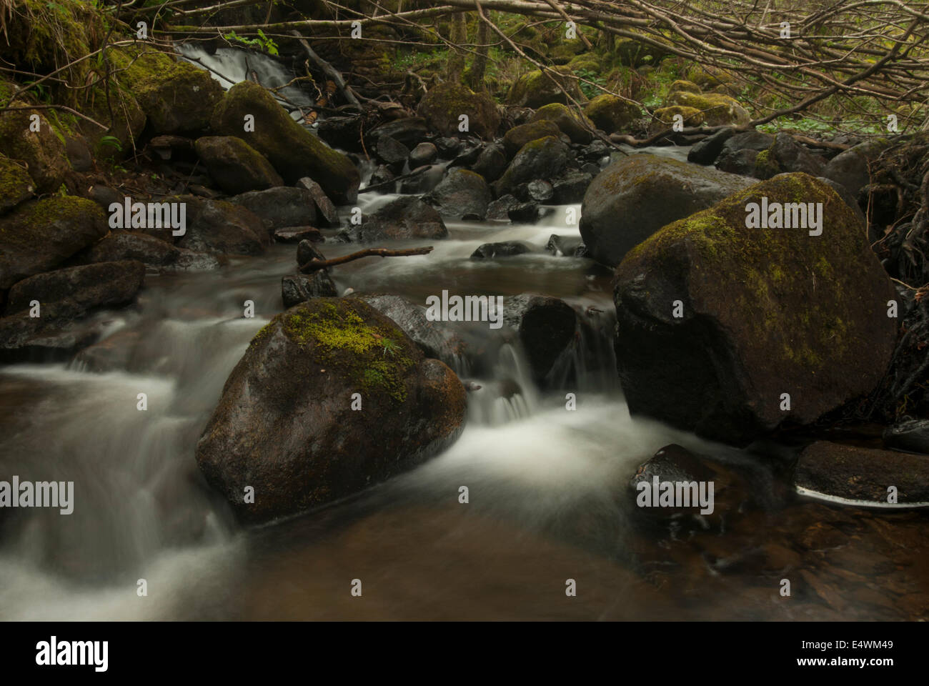 Steady stream with flowing water Stock Photo - Alamy