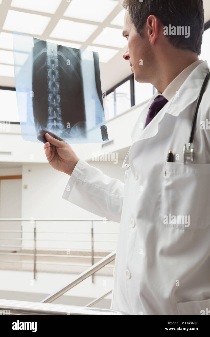 Doctor looking at x-ray Stock Photo - Alamy