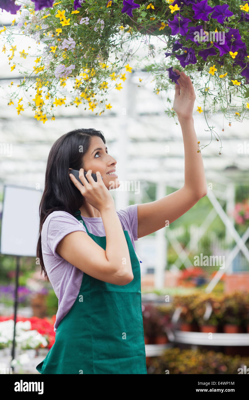 Woman looking at flowers in hanging basket Stock Photo - Alamy