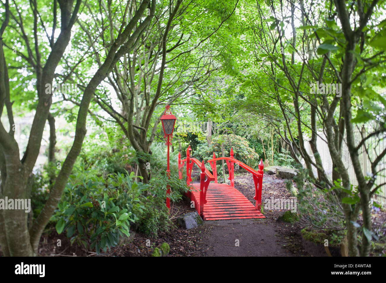 Red Japanese style bridge in forest Stock Photo - Alamy