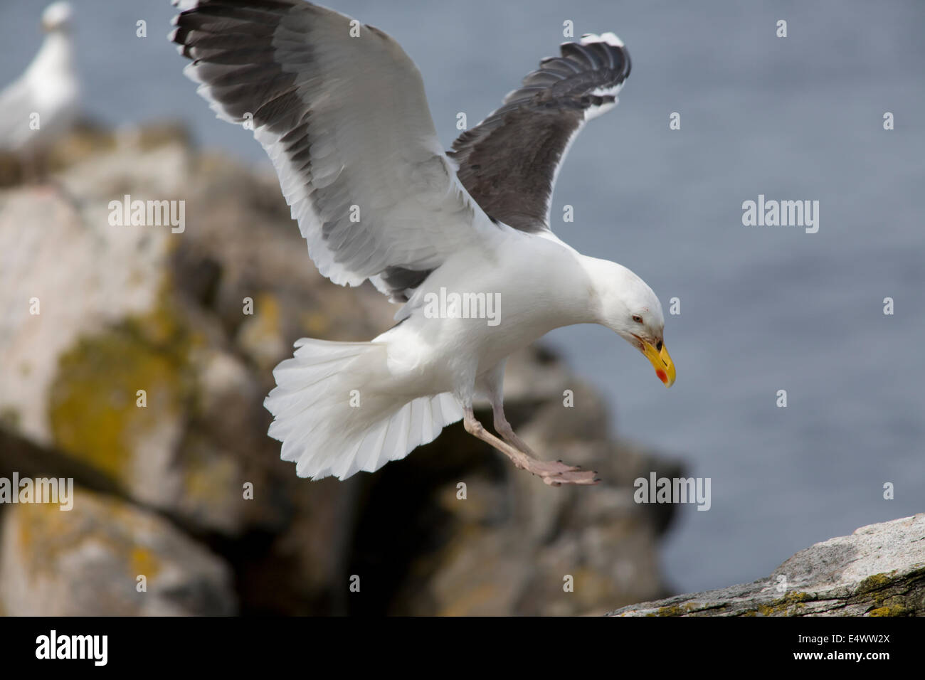 Loch Na Muilne On Lewis High Resolution Stock Photography and Images ...
