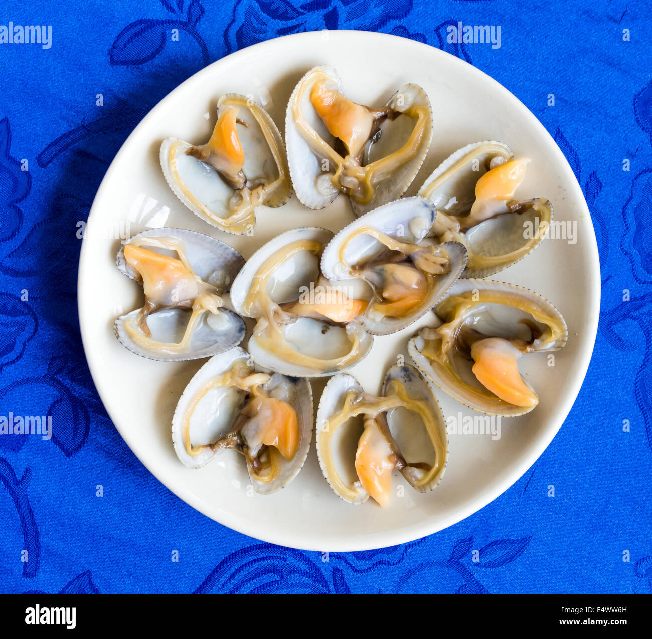 Venus clams hi-res stock photography and images - Alamy