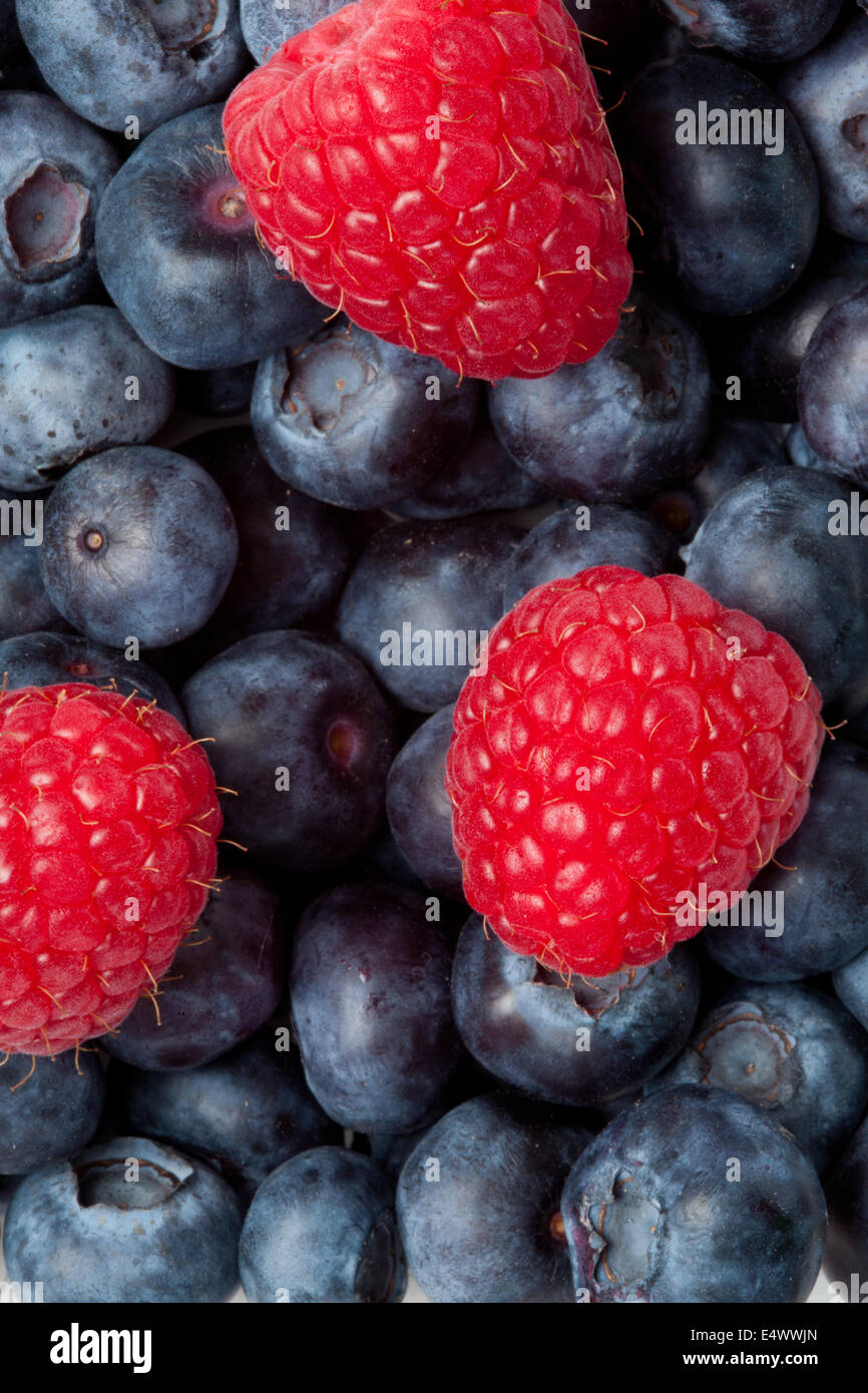 Raspberry on the blueblerries Stock Photo - Alamy