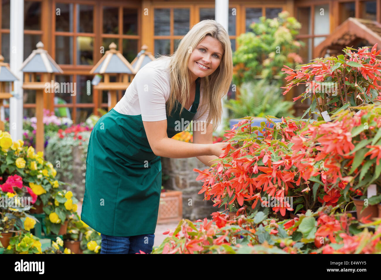 Caring for flowers hi-res stock photography and images - Alamy