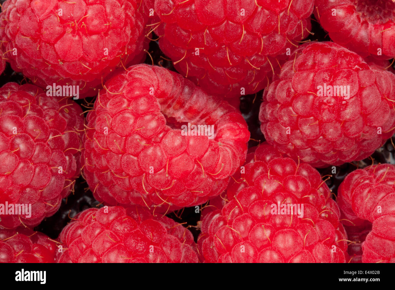 Heap of raspberry Stock Photo - Alamy